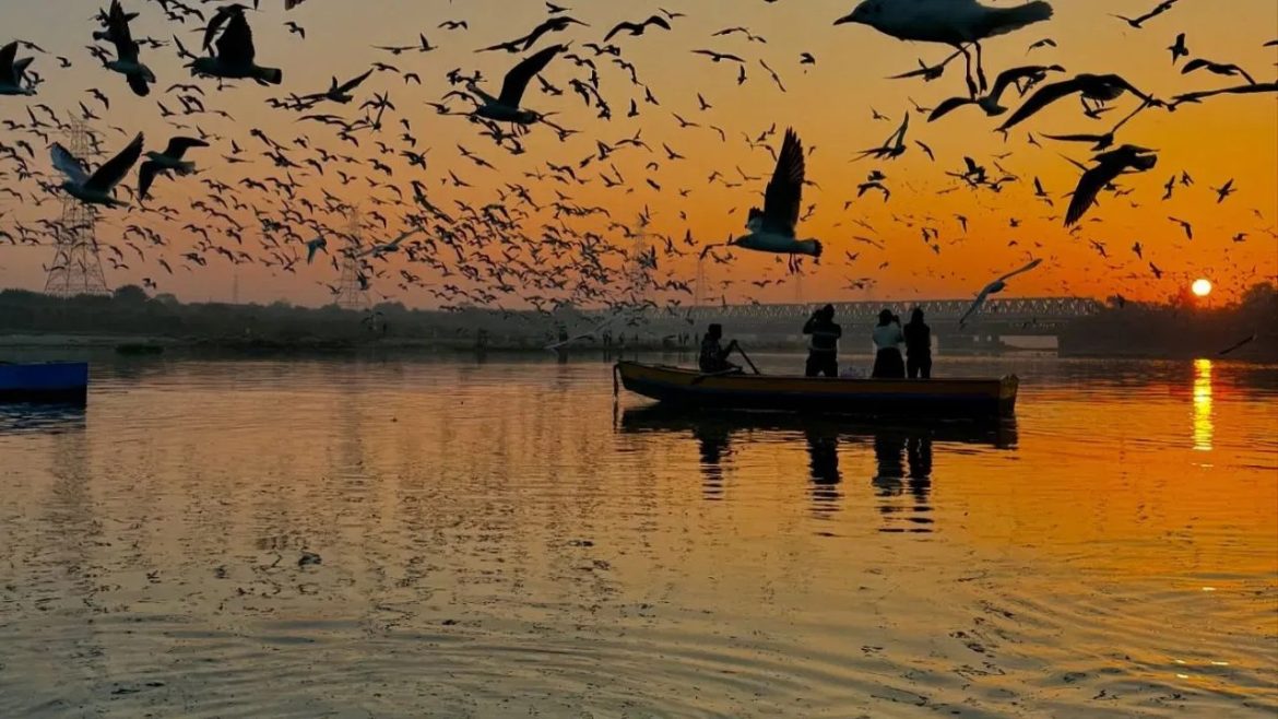 These five ghats in Delhi are famous for Chhath Puja - Hind First